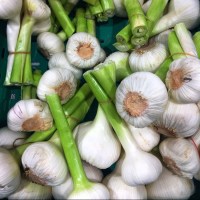 Keshkek Meshkek – My stories, tastes and travels. Istanbul based but my ...